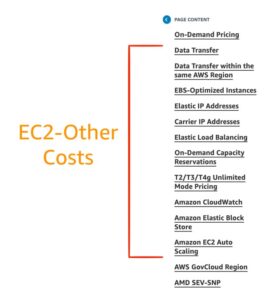 EC2-Other Costs in AWS: A Quick Guide to Understanding Them | CloudForecast